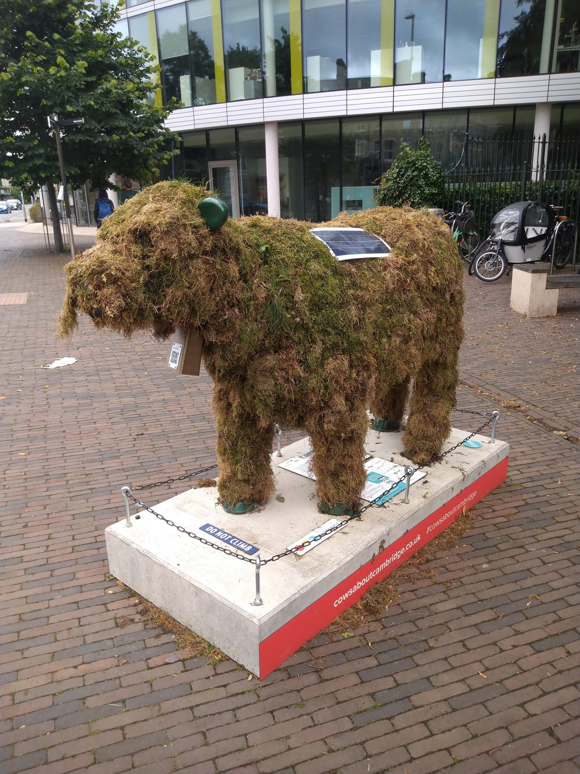 Mooving On – Welcome to the World of the Musing Anorak